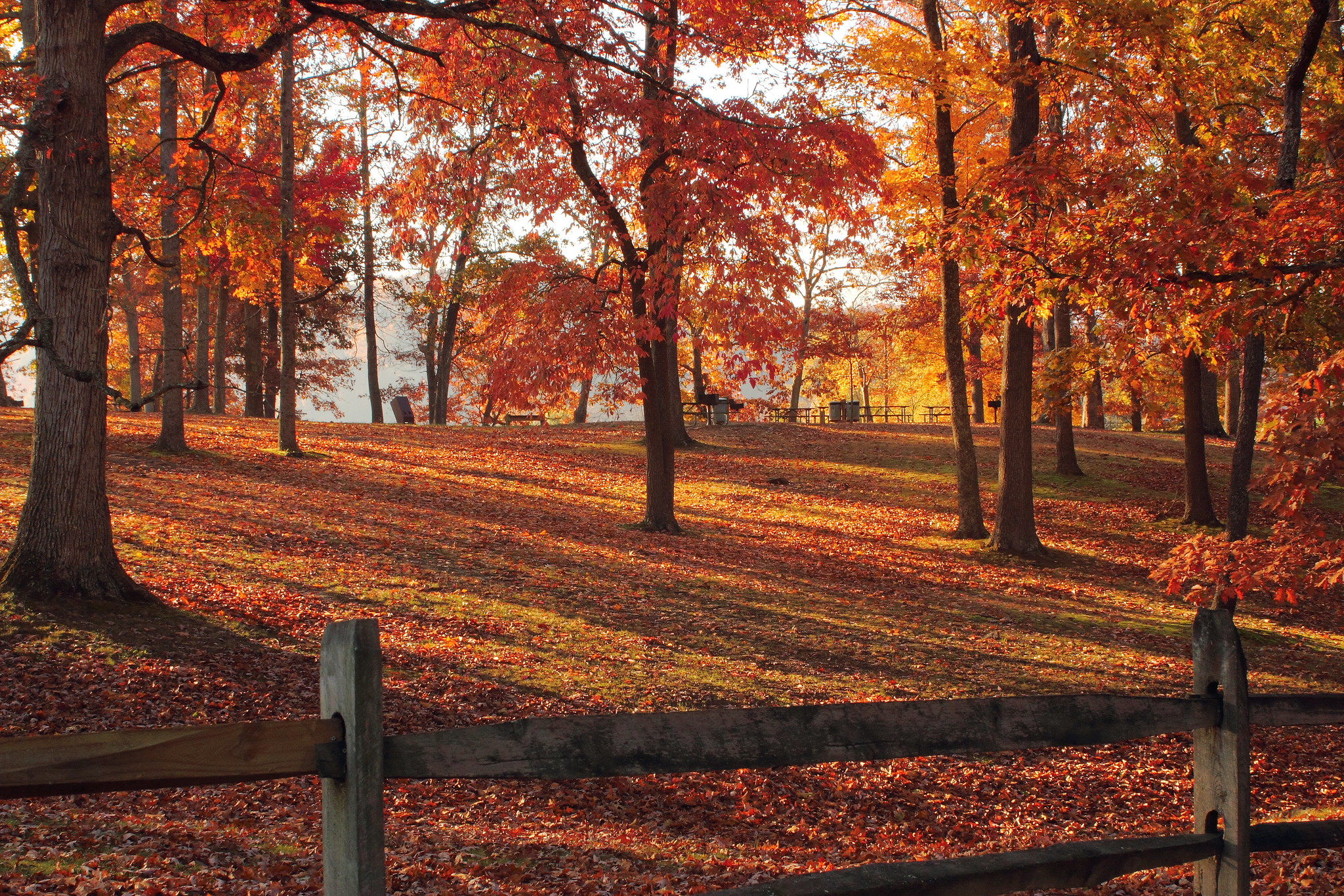 Fall Safety Tips | Earth Wise